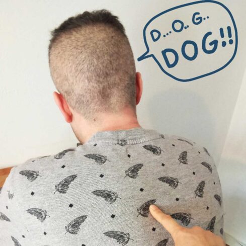 Play at Home | afilii