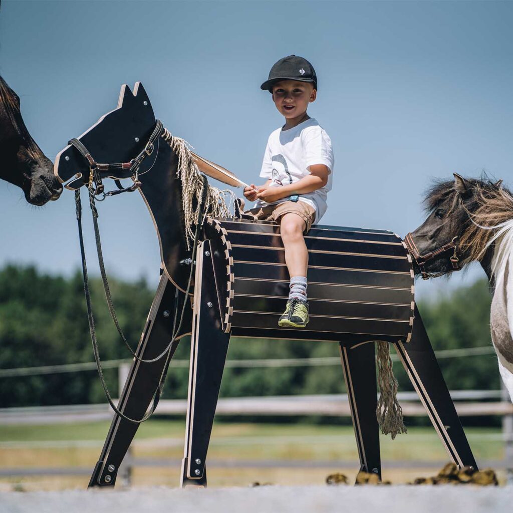 ferdi by kitito: wooden riding horse for outdoors discover now